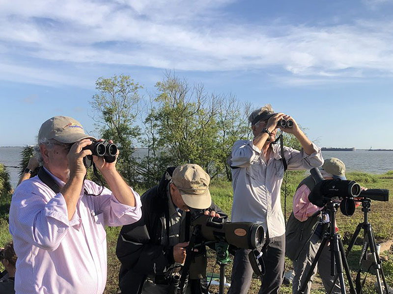 GALVESTON.COM: Birding Photographers - Galveston, TX