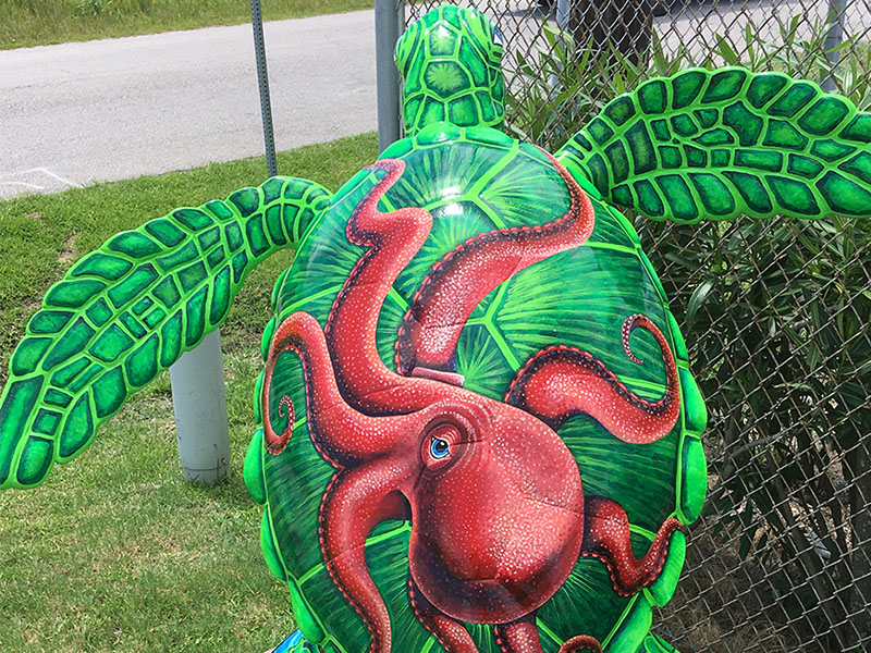 GALVESTON.COM: Turtles About Town - Galveston, TX